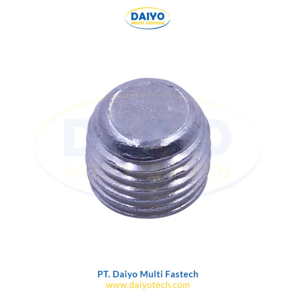 Stainless Steel : SUS 304 Pressure Plug – Daiyotech